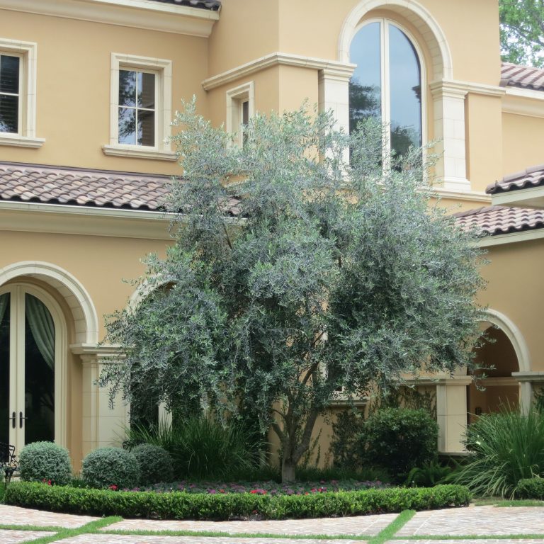 Terrell Road Residence – John S. Troy Landscape Architect