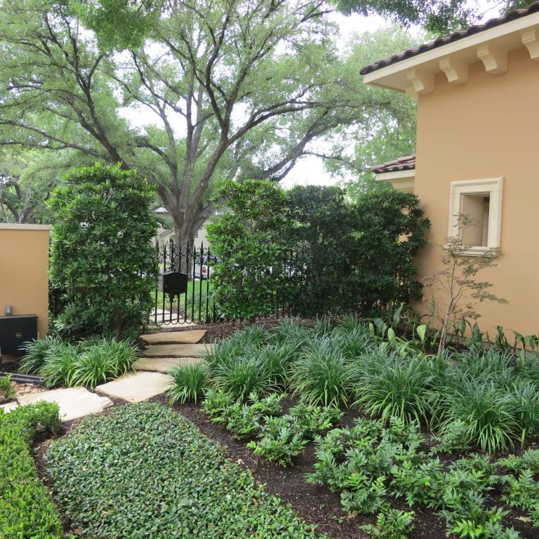 Terrell Road Residence – John S. Troy Landscape Architect