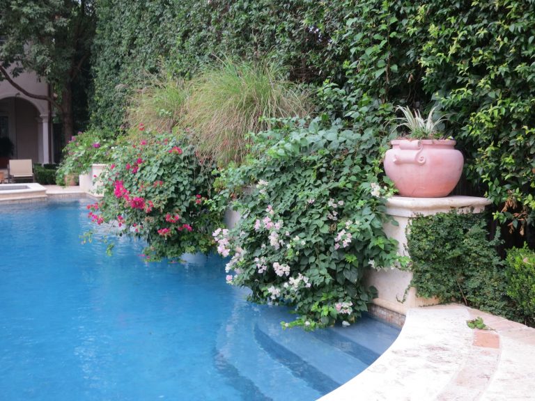 Geneseo Road Residence - John S. Troy Landscape Architect