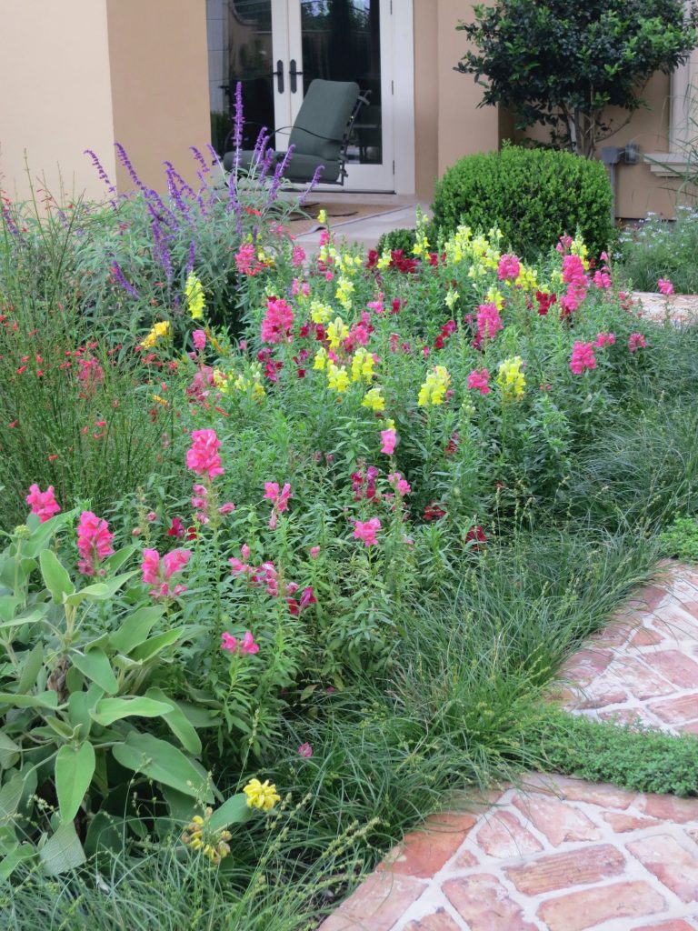 Terrell Road Residence – John S. Troy Landscape Architect